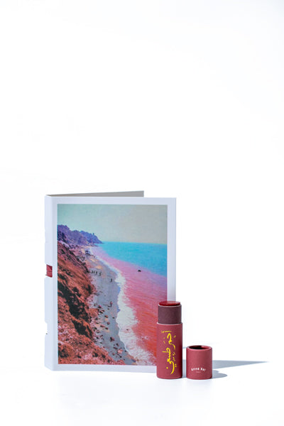 Tinted Natural Red Lipbalm Bulk Gifting – Green Bar